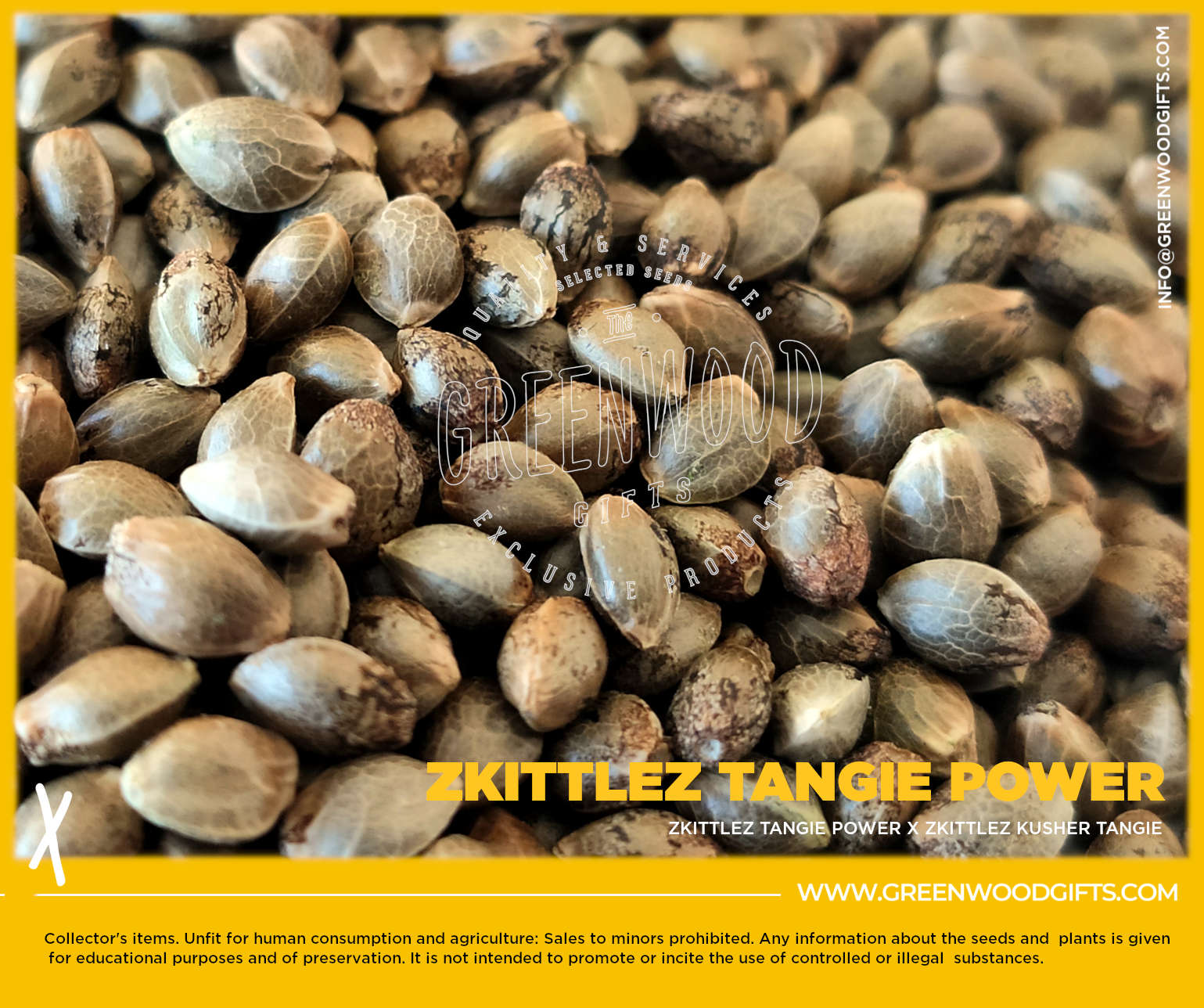 ZKITTLEZ TANGIE POWER GALLERY – Greenbud seeds